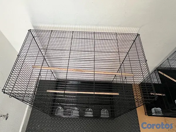 Corotos | Jaula para Aves Nueva
