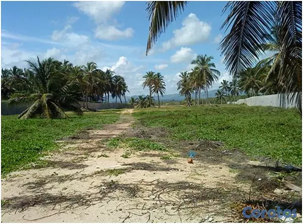 Corotos | Vendo 1.5 Millón de Mts.2 CON PLAYA en UVERO ALTO