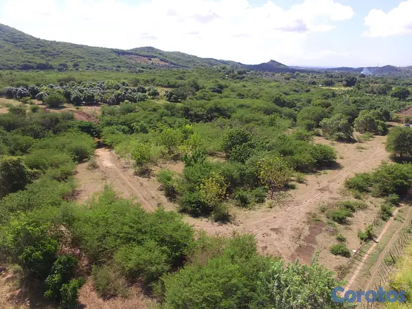 Corotos | Finca en Bani 189.5 Tareas Titulo Definitivo
