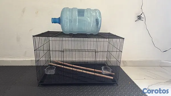 Corotos | Jaula para Aves Nueva