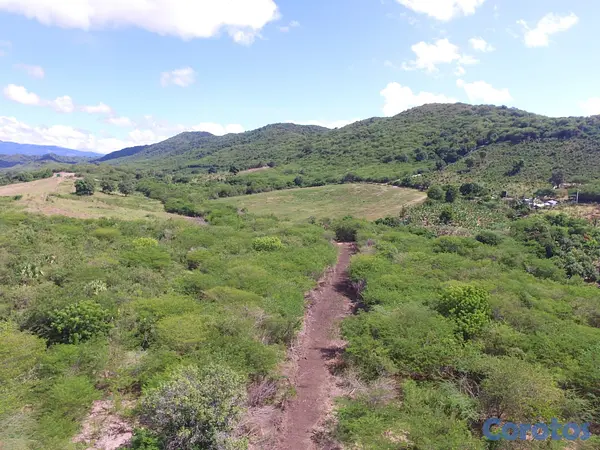Corotos | Finca en Bani 189.5 Tareas Titulo Definitivo